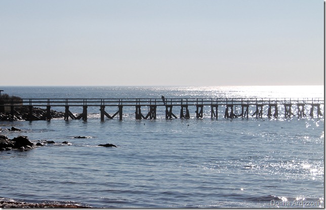 Taking a lunch hour on Magnolia Pier – Good Morning Gloucester