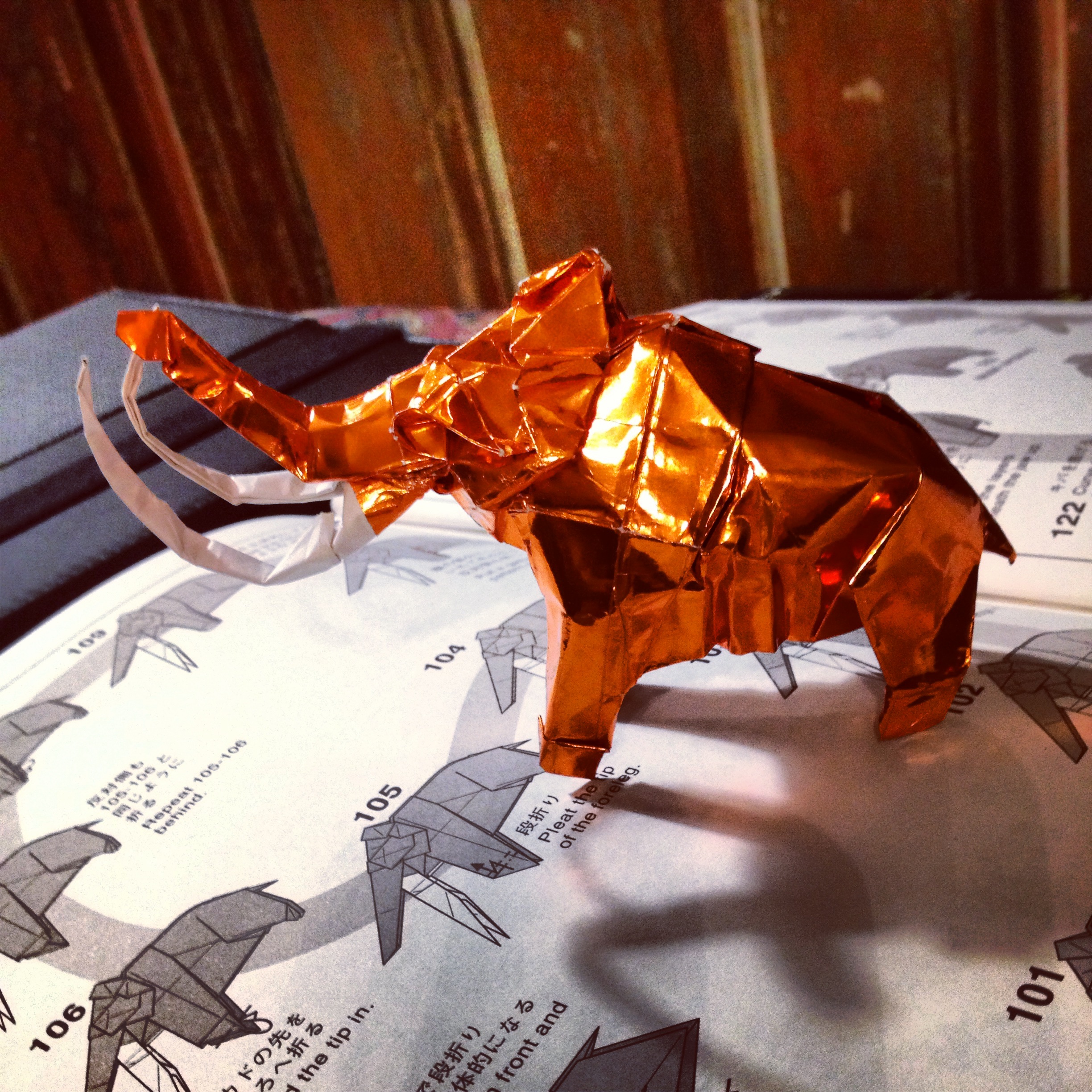 Origami Mammoth – Good Morning Gloucester