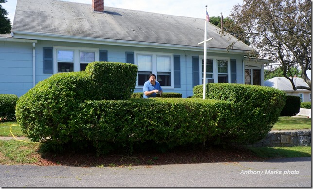 Fishing Boat Hedge From Anthony Marks – Good Morning Gloucester