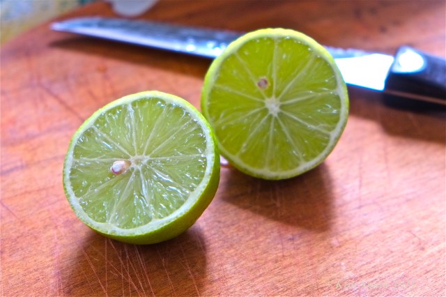 How to Grow Citrus Indoors: Bearss Limes – Good Morning Gloucester