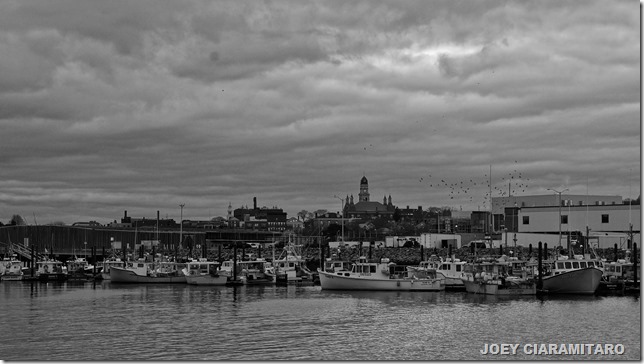 The Fleet – Good Morning Gloucester