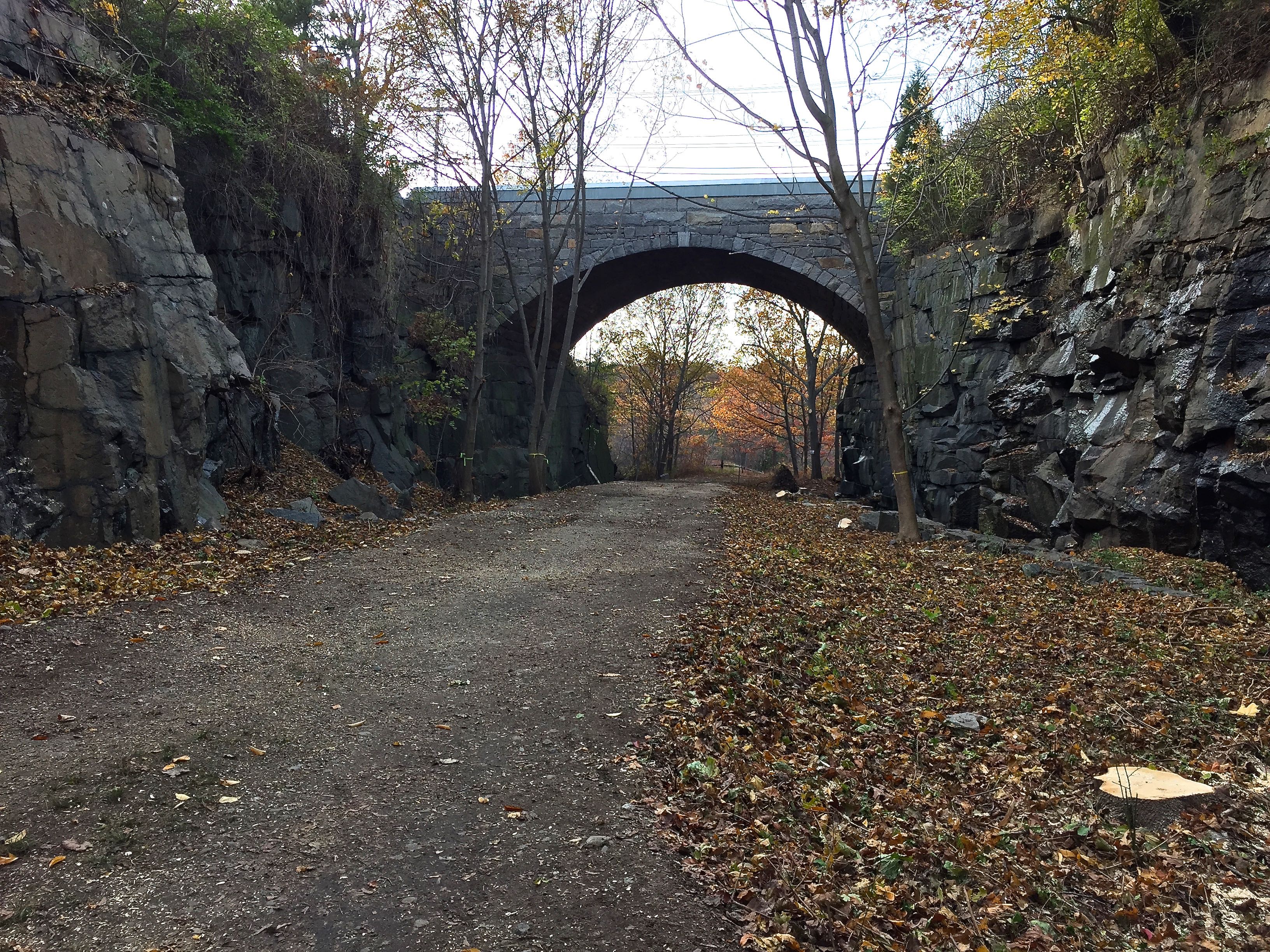 Trees Cut Down Under the Keystone Bridge – Good Morning Gloucester
