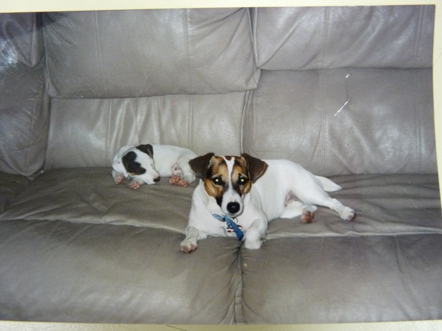 RIP “BLAZE” – Good Morning Gloucester