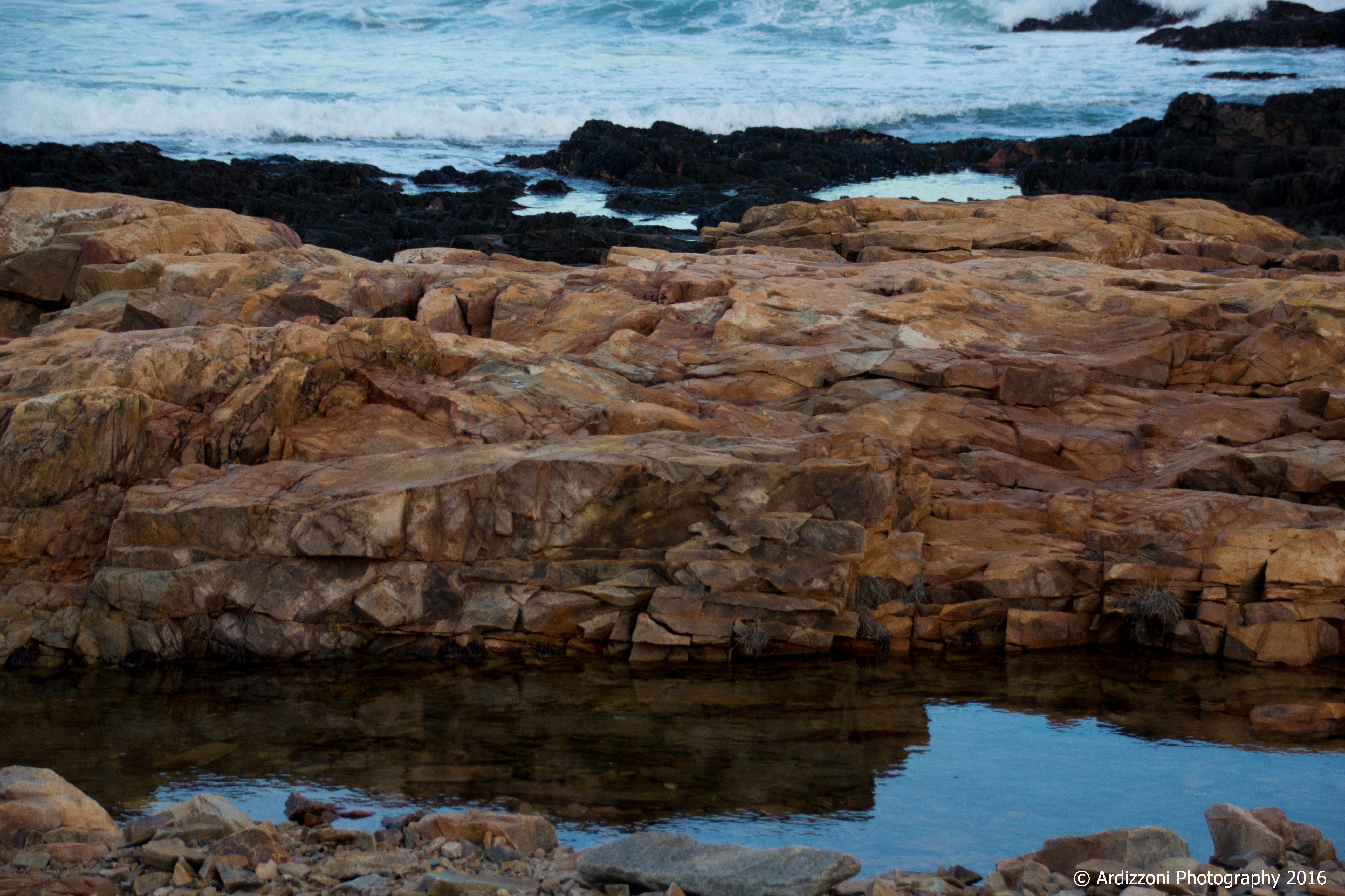 Back Shore beauty – Good Morning Gloucester