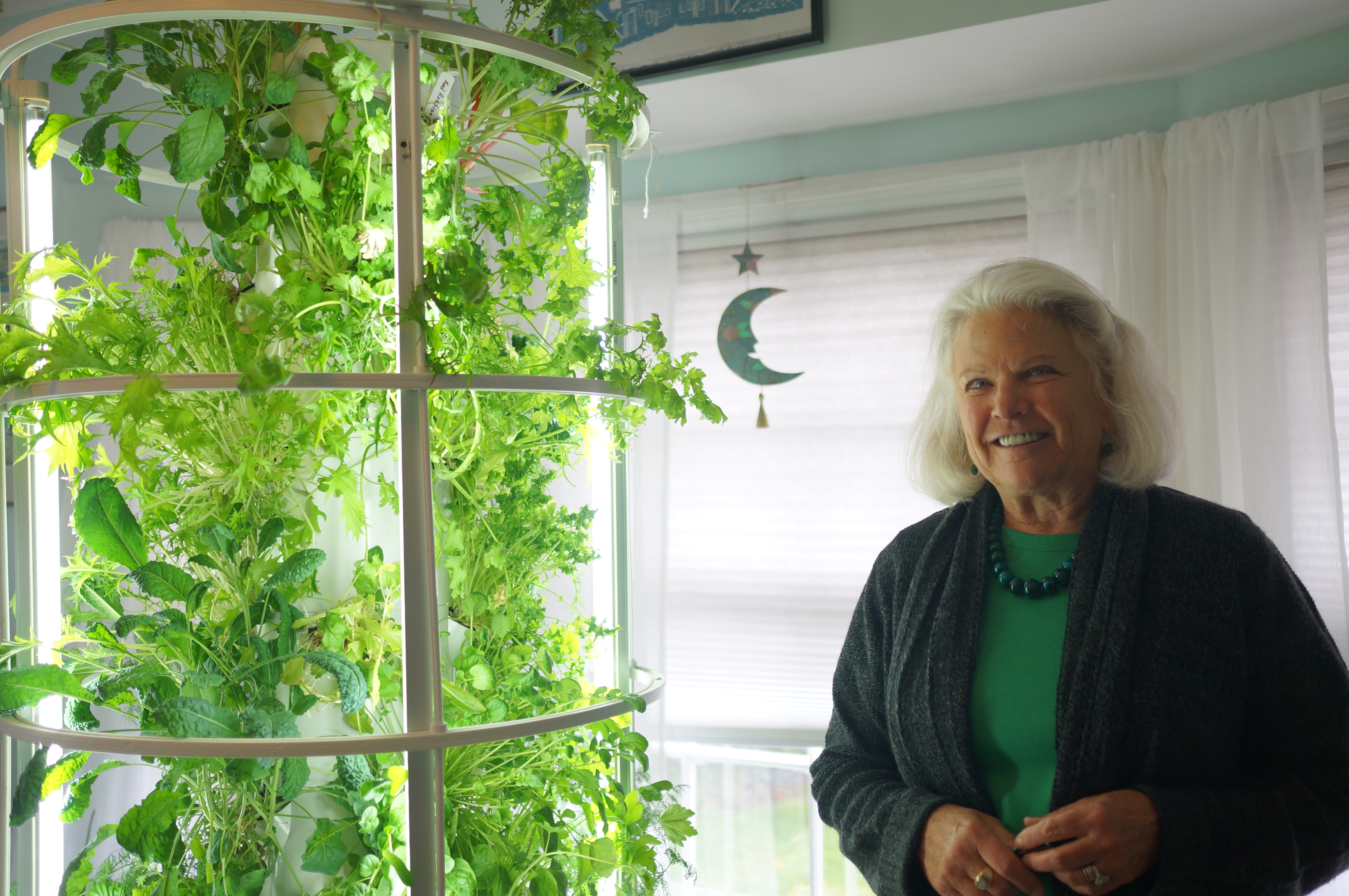 Sash Ludwig’s Tower Garden – Good Morning Gloucester