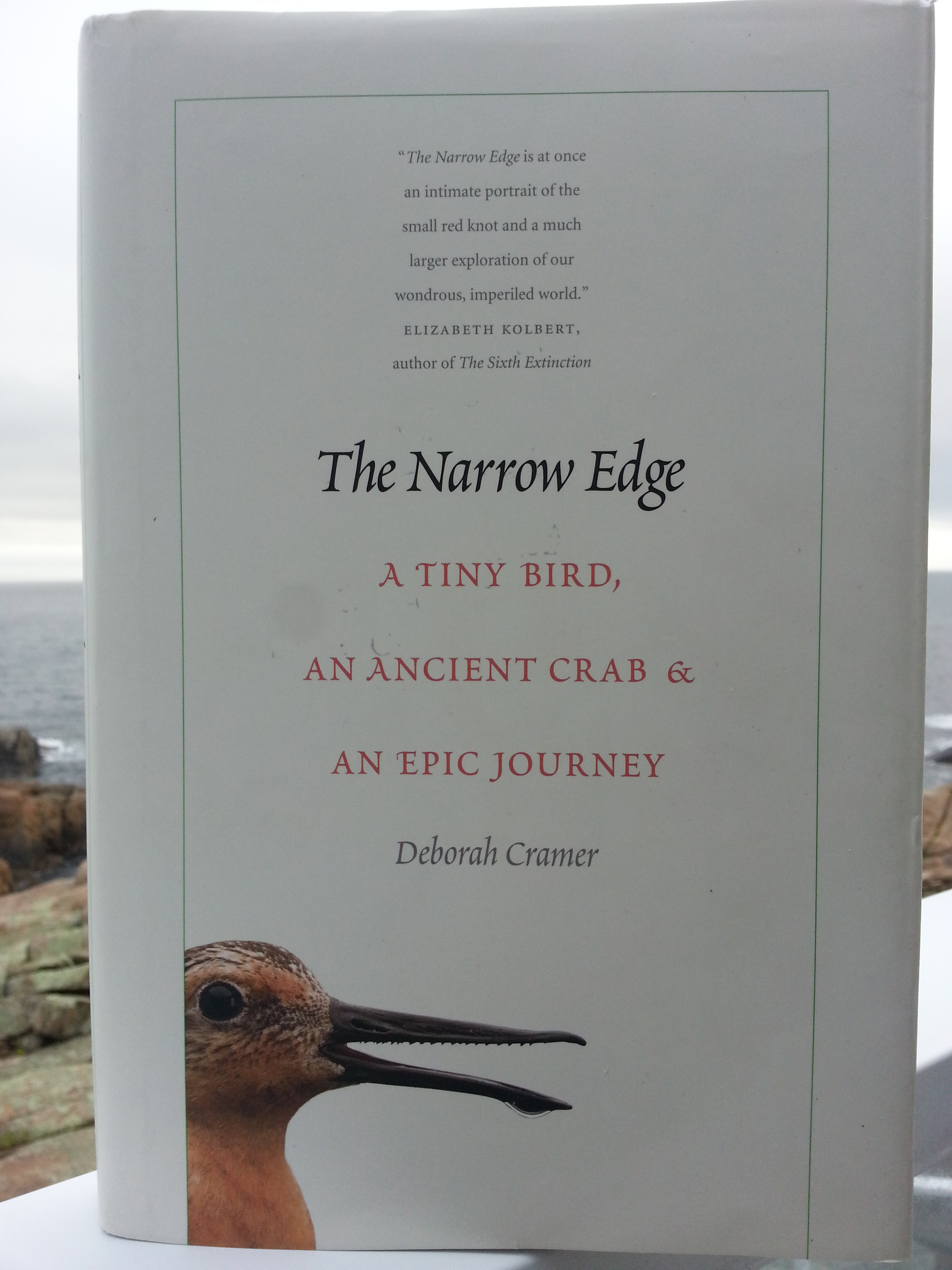 Piping Plover fans: Local author Deborah Cramer on sandpipers is a must ...