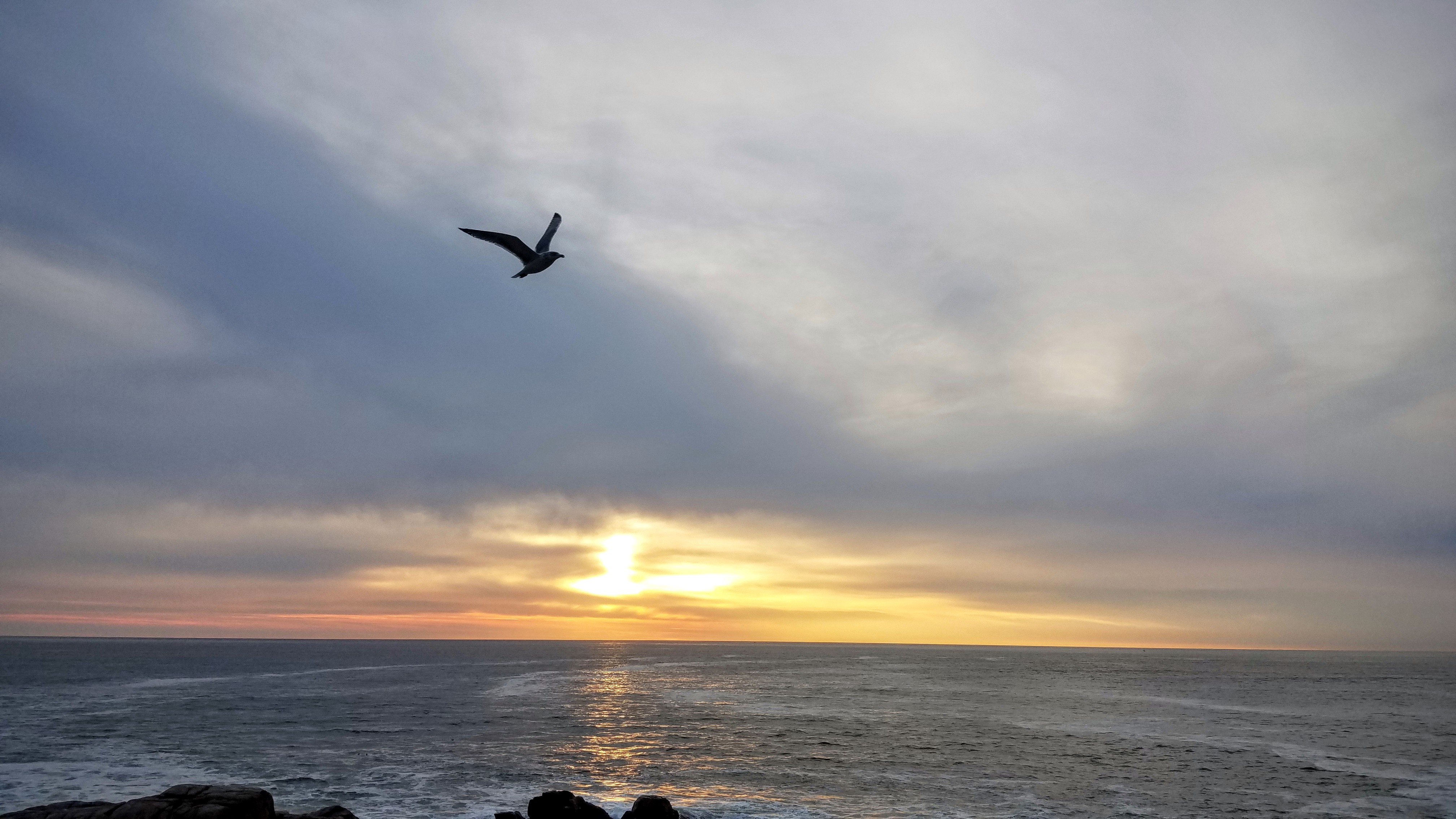 GMG. – Good Morning Gloucester