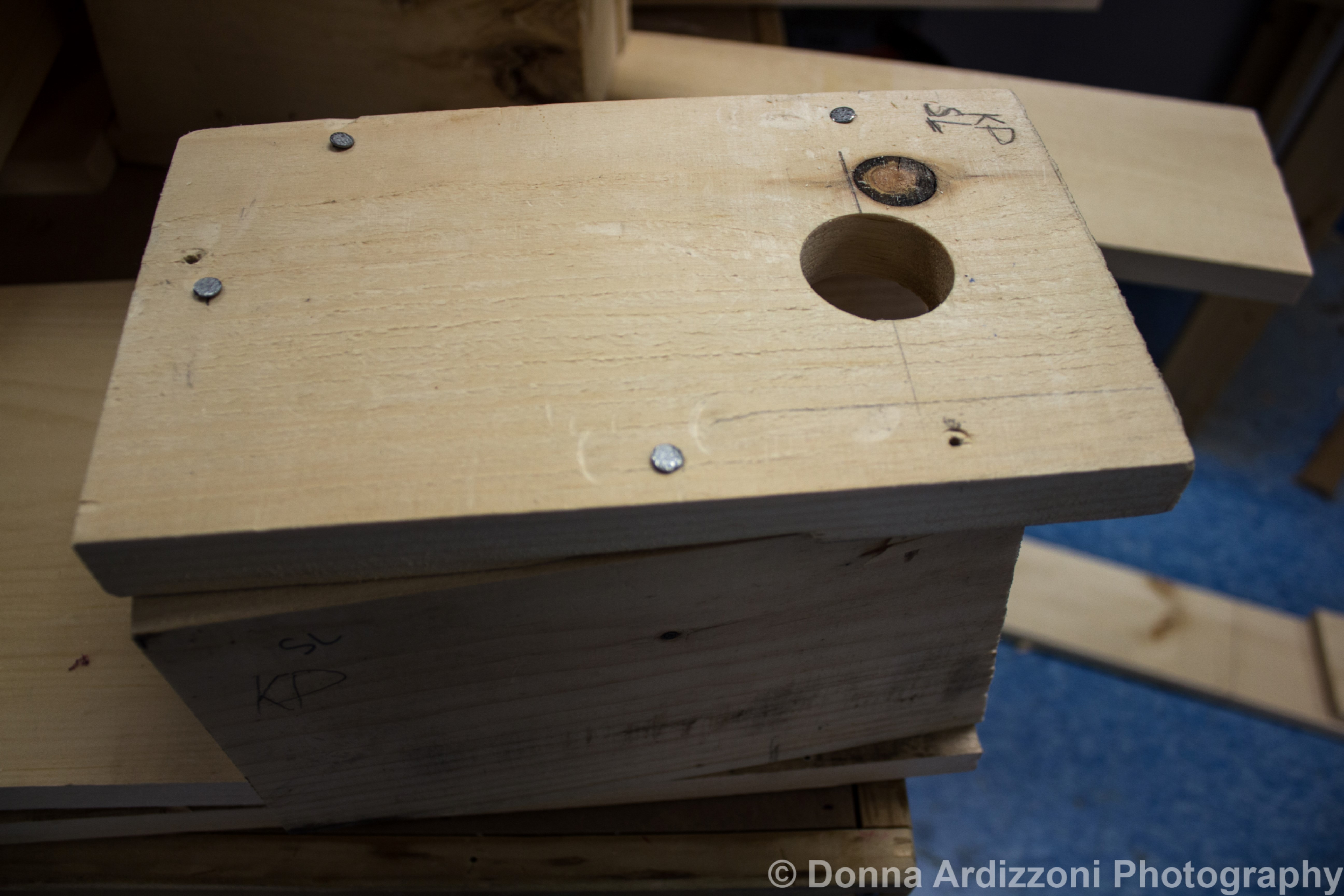 Bluebird Nesting Box at O’Maley – Good Morning Gloucester