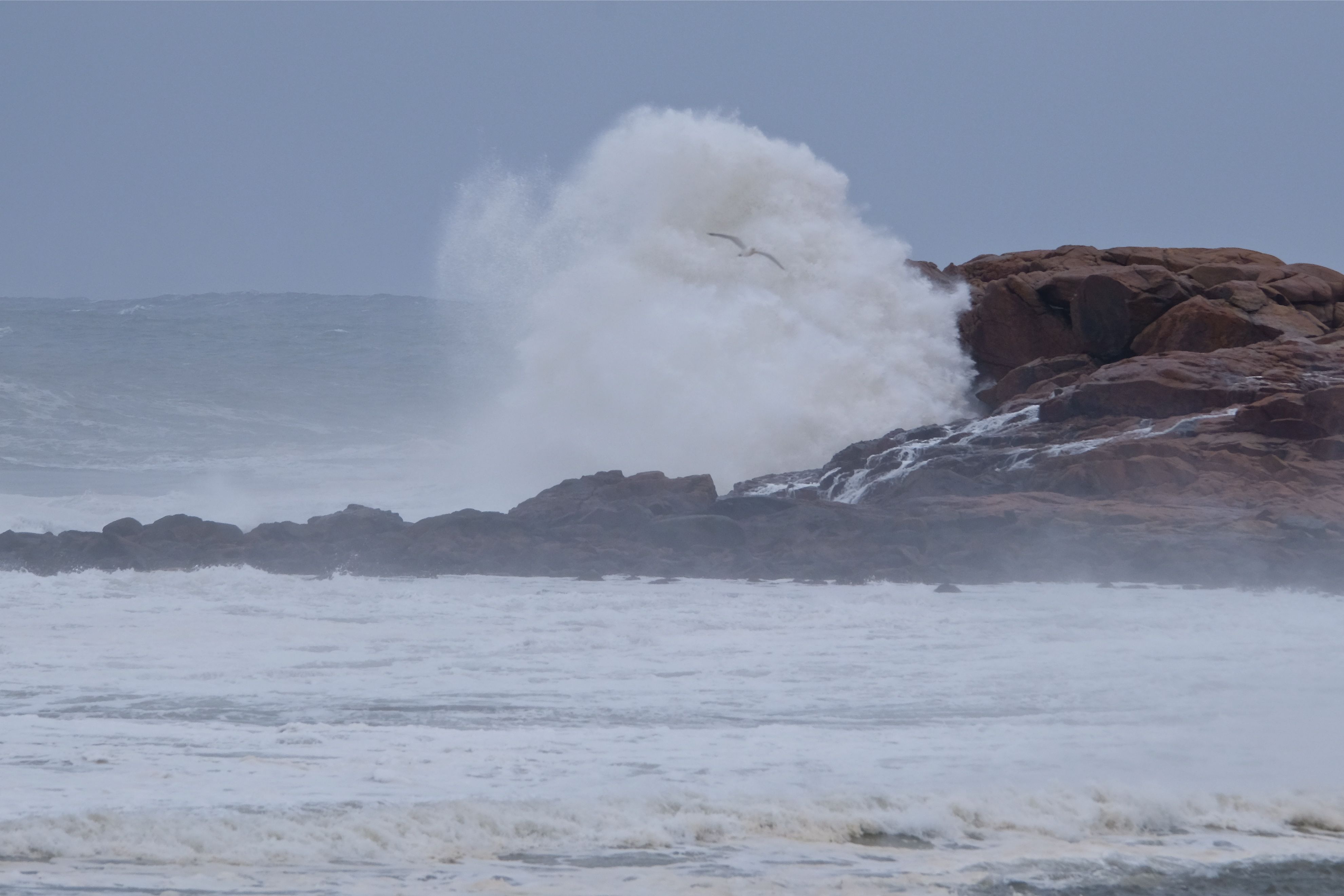 Riley Storm Nor’easter #GloucesterMA Eastern point Point copyright Kim ...