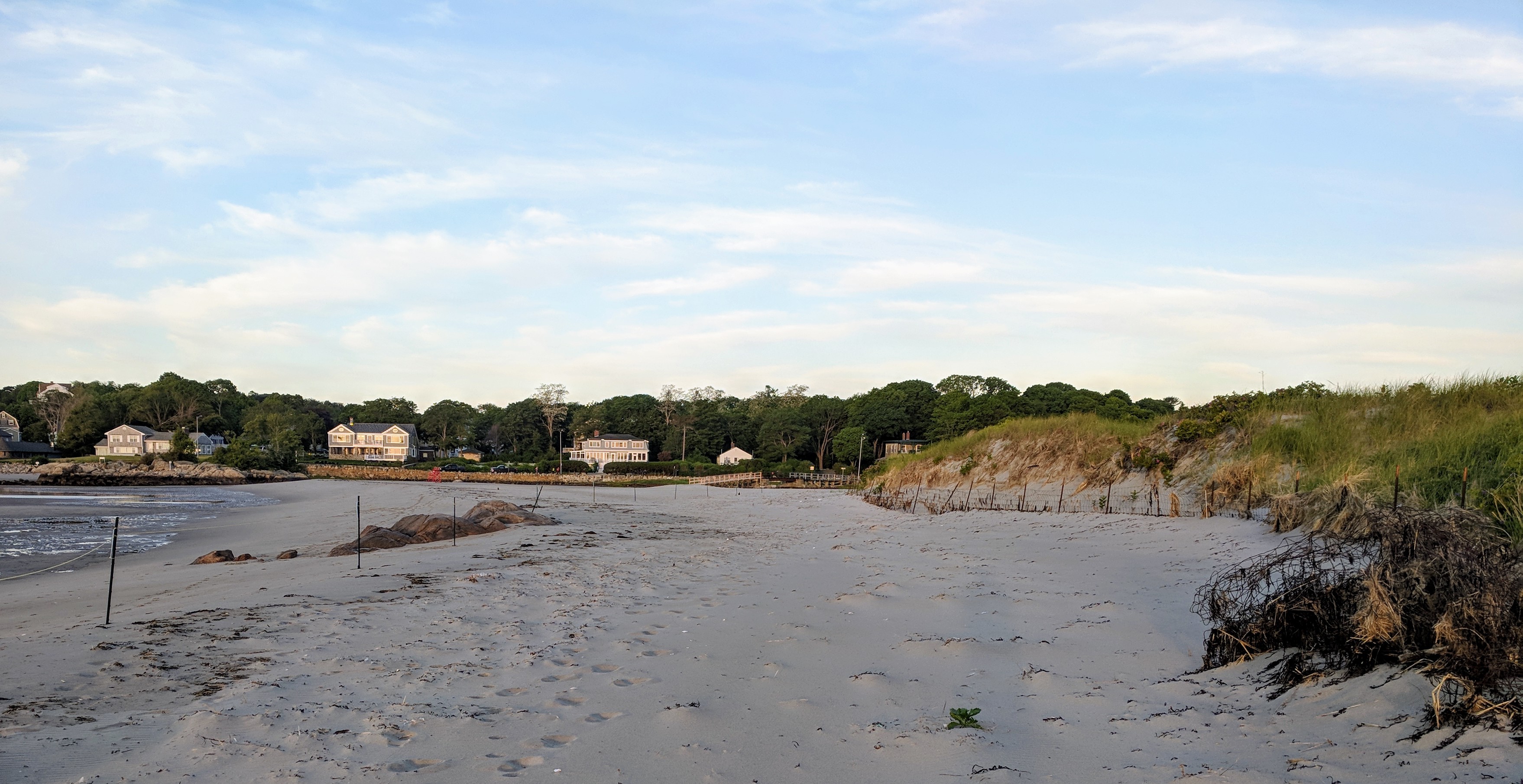 Good Harbor Beach looking across piping plover enclosure dune and beach ...