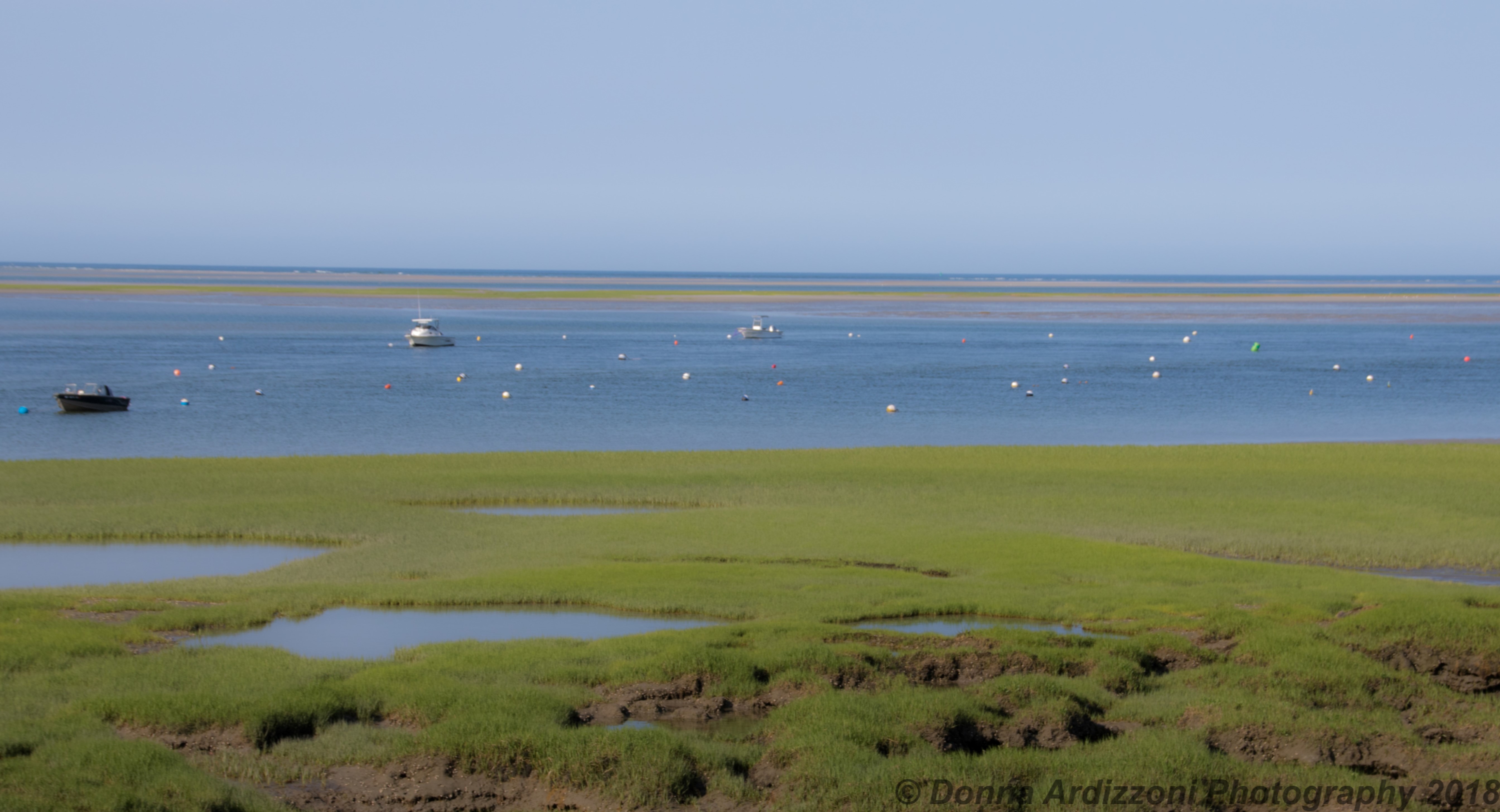 Pretty Comono Point – Good Morning Gloucester