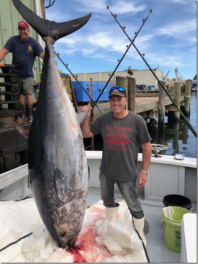 Nice day for the F/V Amanda Marie nice tuna caught by the senior guys ...