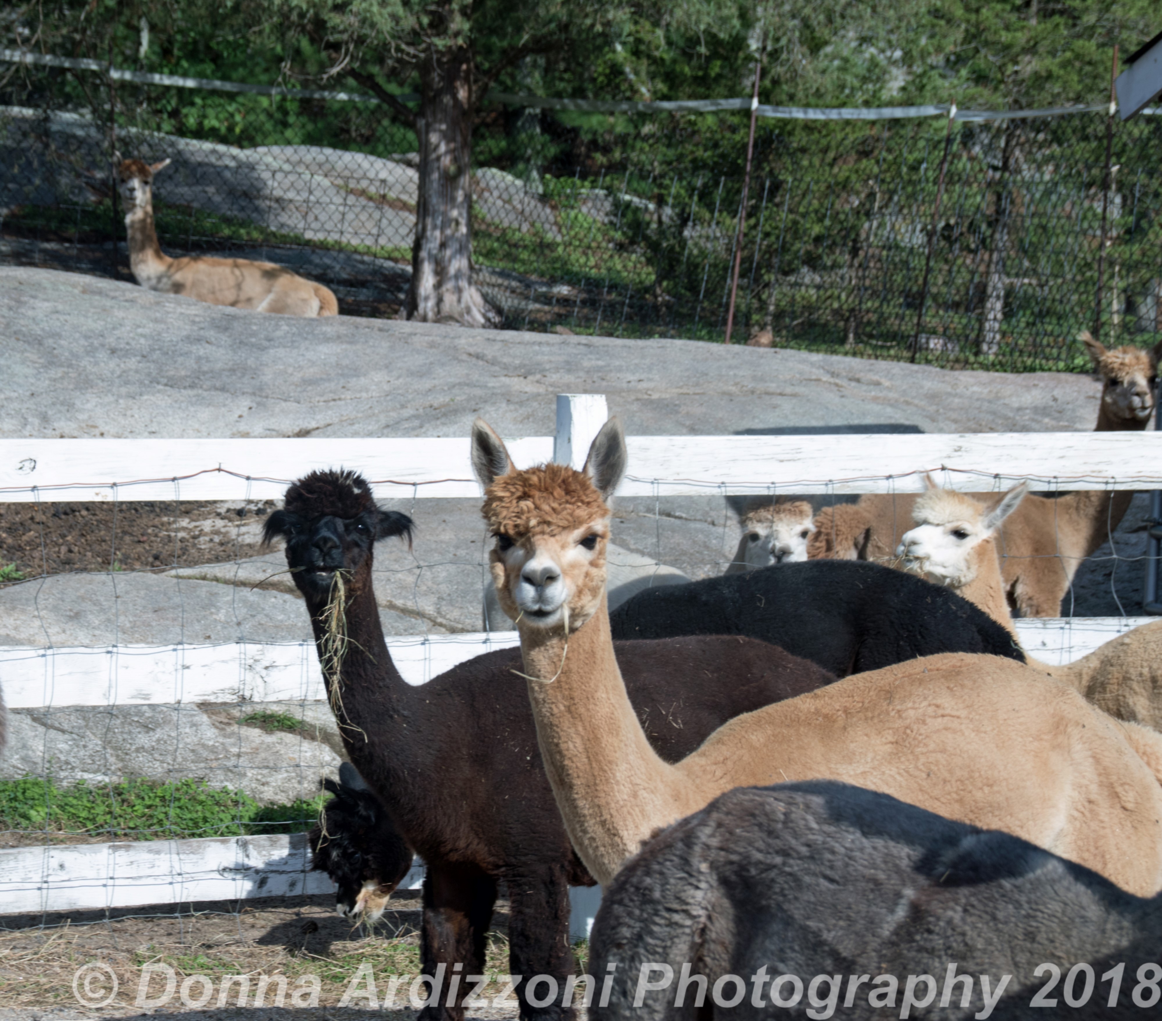 Marshall’s Farm Stand – Good Morning Gloucester