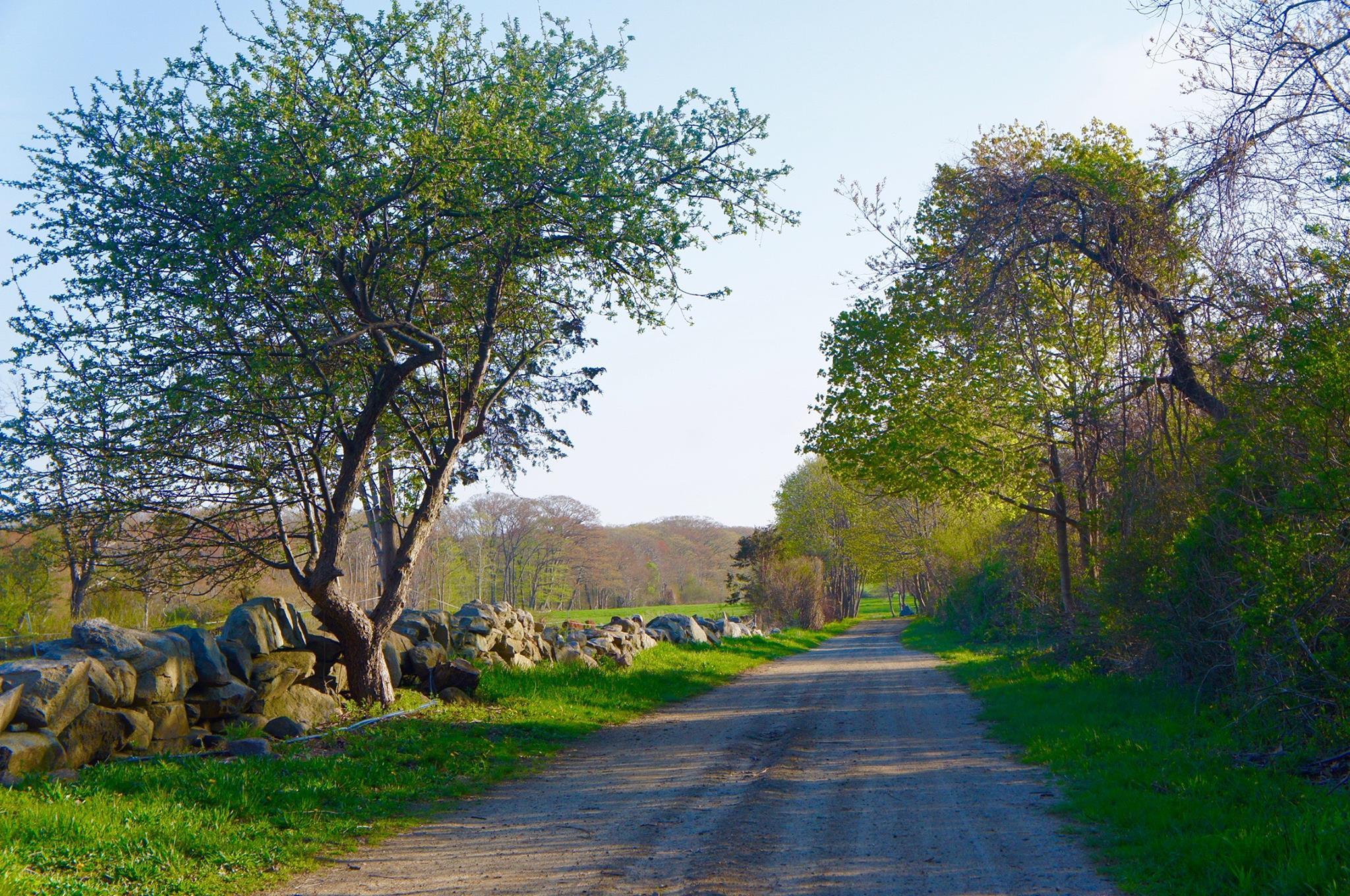 Walking Tour with Herbalist Kylee Foote at Seaview Farm – Good Morning ...