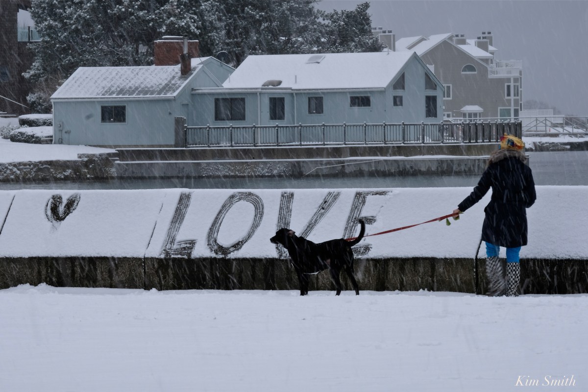 SNOWY DAY LOVE FROM ROCKY NECK’S BRENDA MALLOY