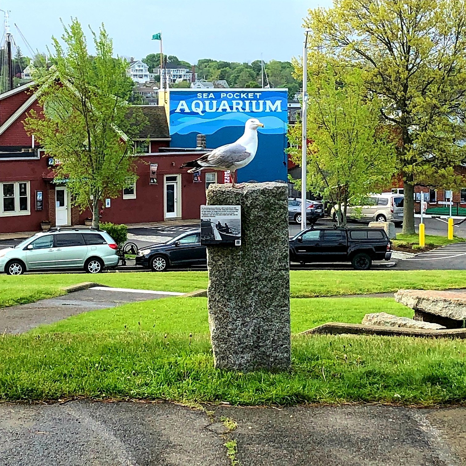 BEAUTIFUL DAY ON MARITIME WATERFRONT! – Good Morning Gloucester