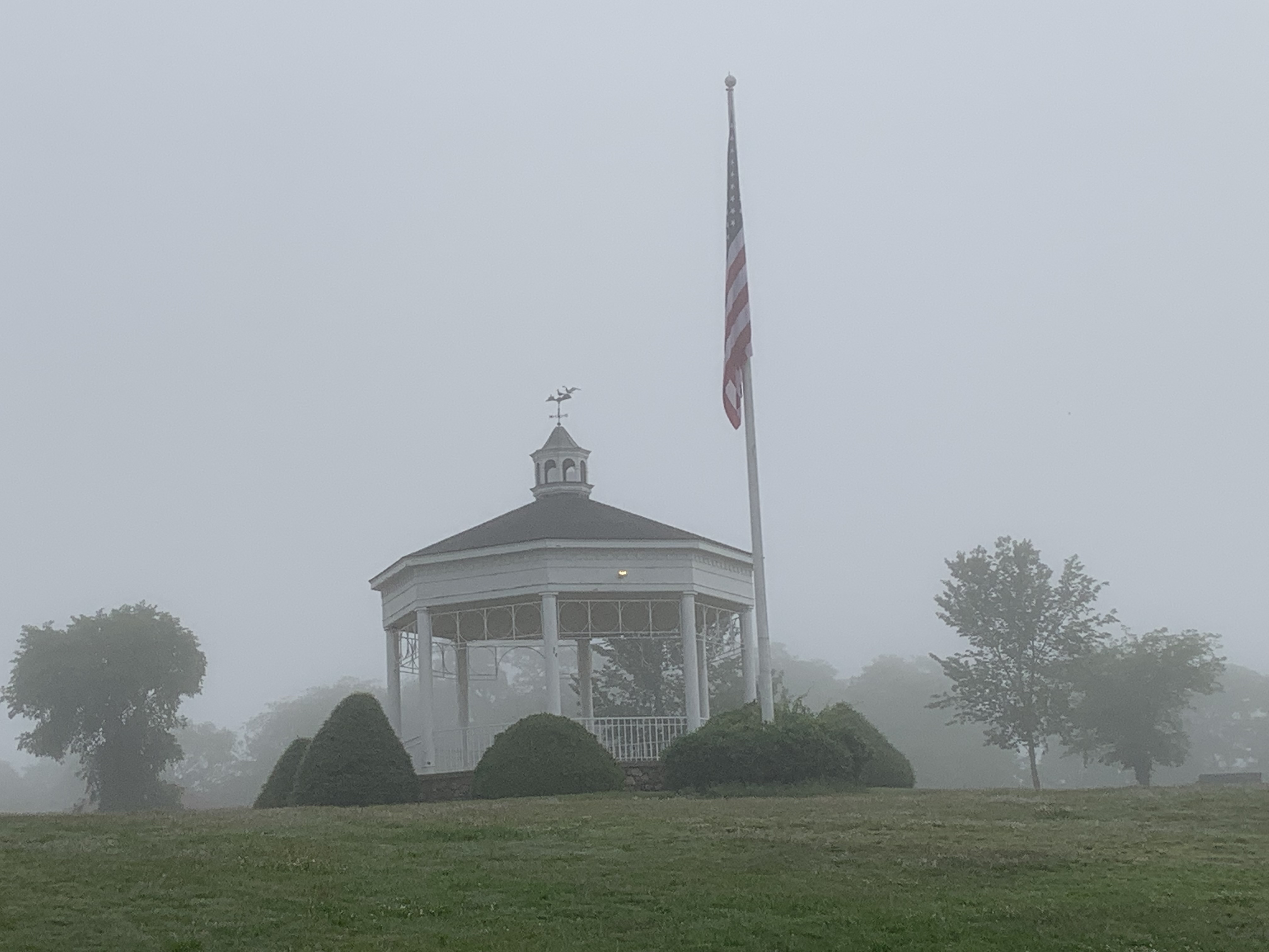 Foggy Fiesta Friday – Good Morning Gloucester