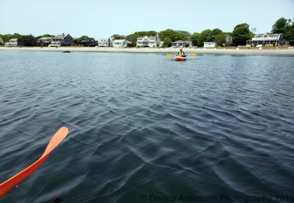 Kayaking on Saturday – Good Morning Gloucester