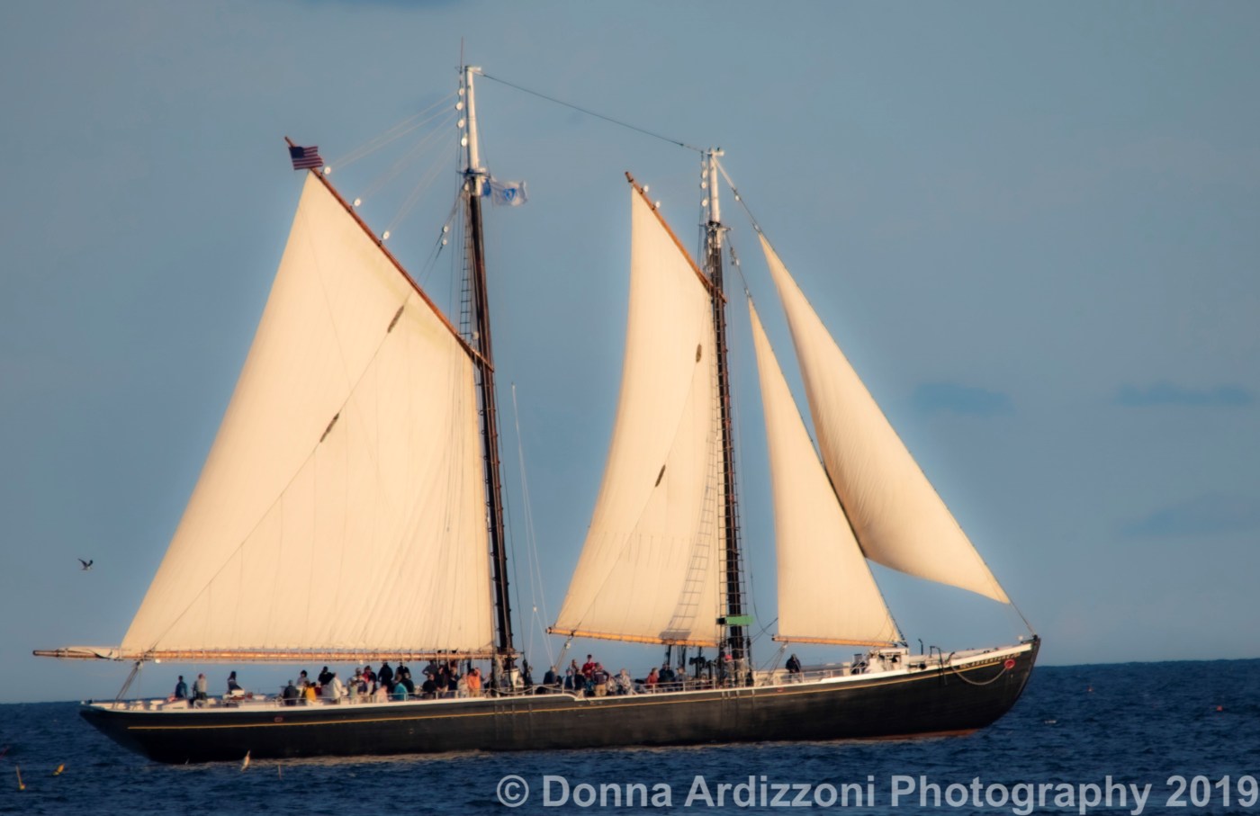 Schooner Adventure going by Magnolia Beach – Good Morning Gloucester