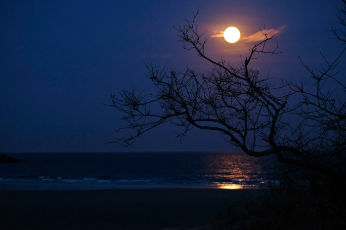 SUPER STUNNING SUPER MOON! #GLOUCESTERMA -SCHOONER ADVENTURE, GOOD ...