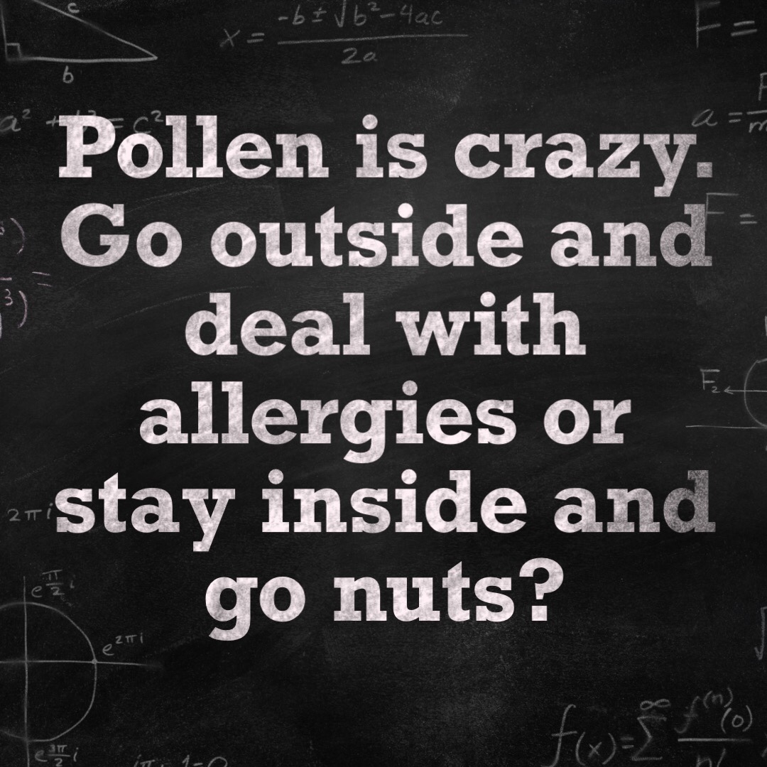 Pollen Count – Good Morning Gloucester