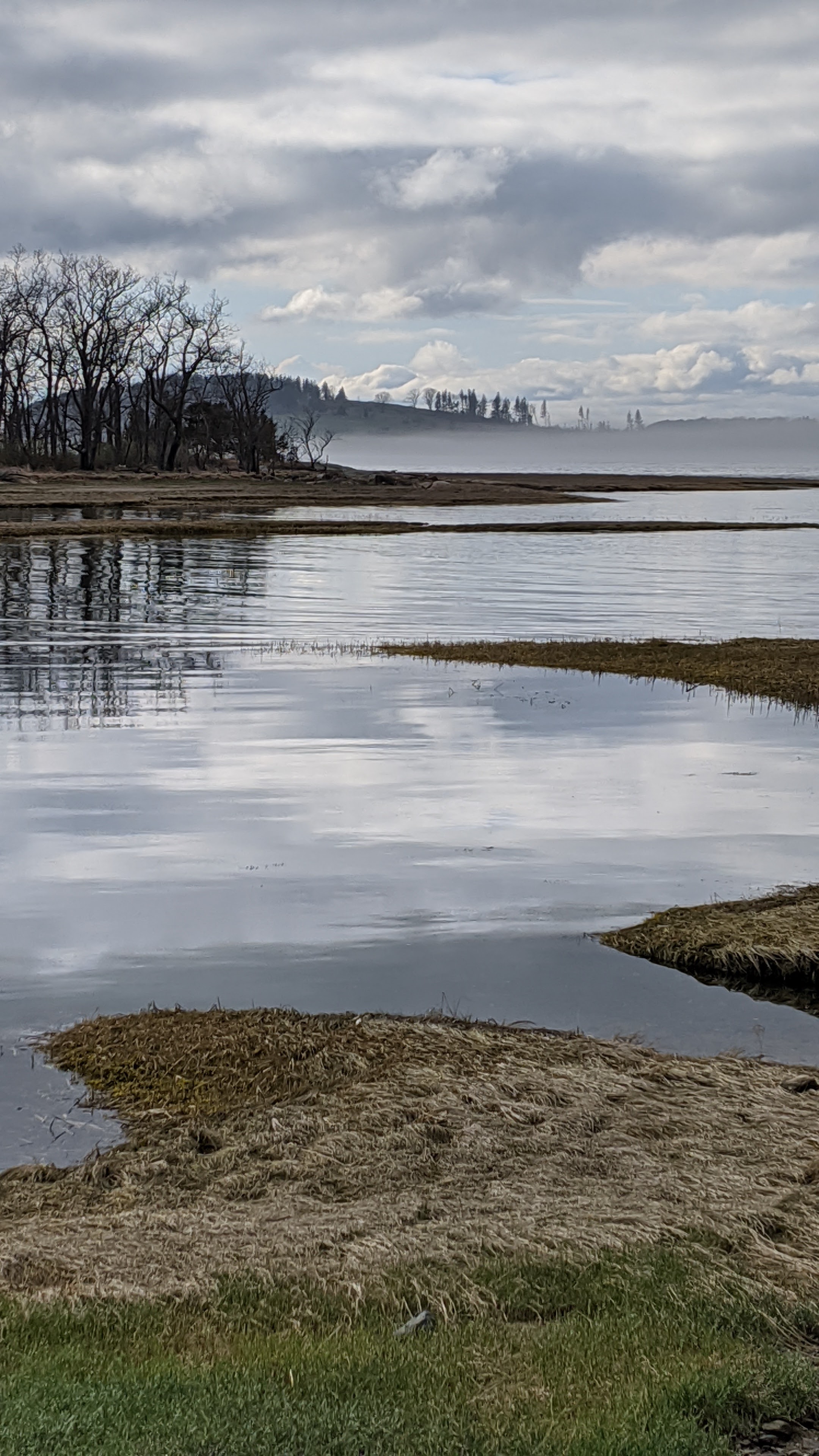 West Gloucester Marsh looking towards Conomo Point: Debe Holland Photo ...