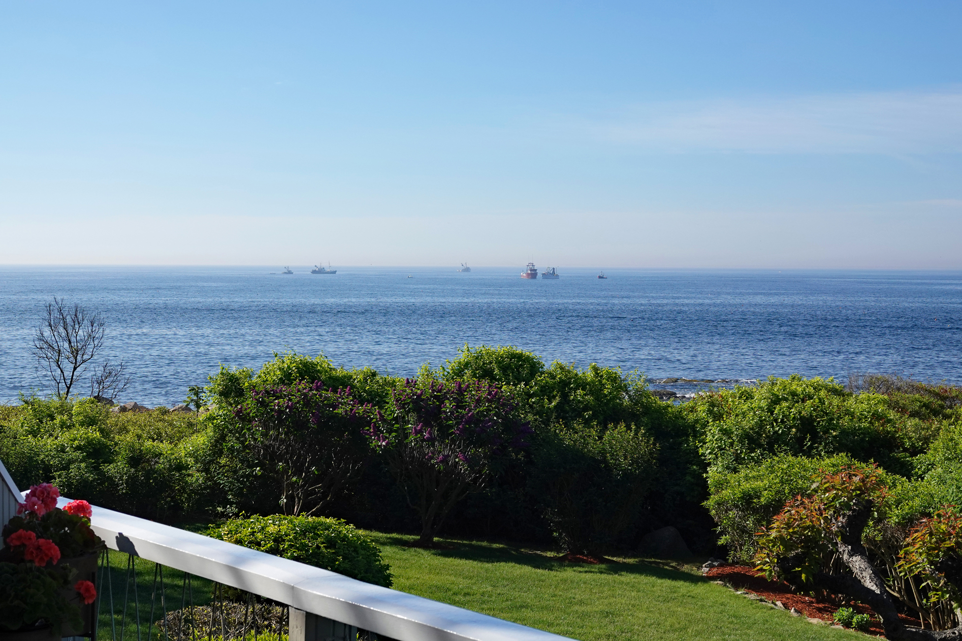 The Fleet Inshore — pat morss – Good Morning Gloucester