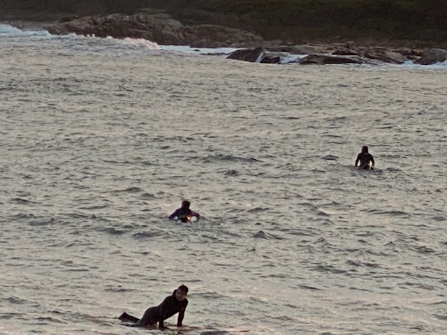 Waiting for the perfect wave at Magnolia Harbor! From Cheryl Dubinsky ...