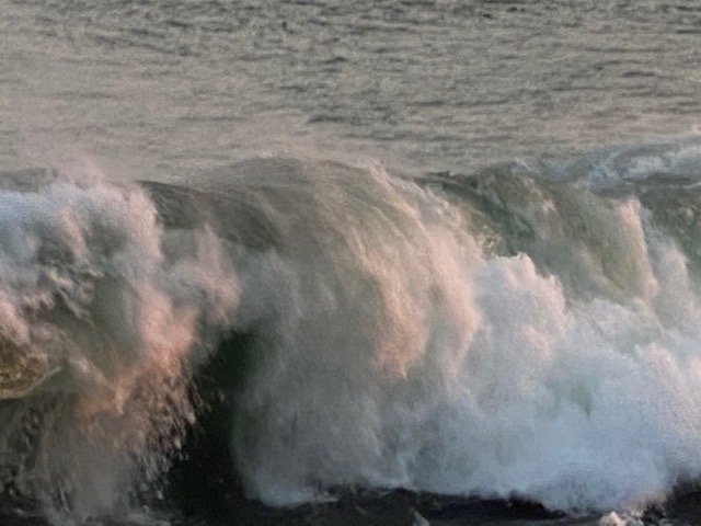 Waiting for the perfect wave at Magnolia Harbor! From Cheryl Dubinsky ...