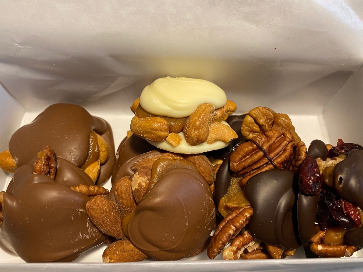 Turtle Alley – Good Morning Gloucester