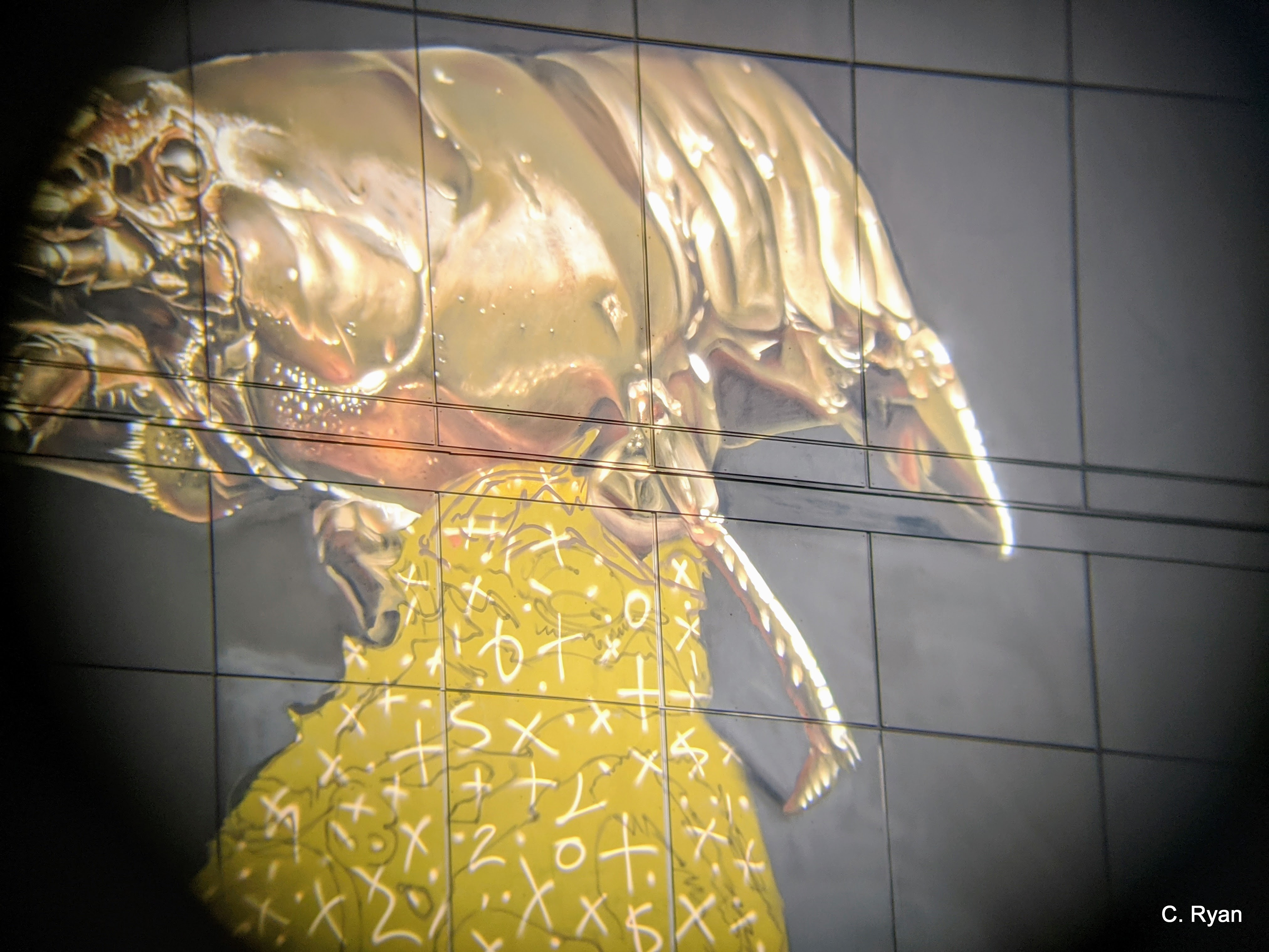 JEKS golden lobster mural – view from Gorton’s Rogers St. #GloucesterMA ...