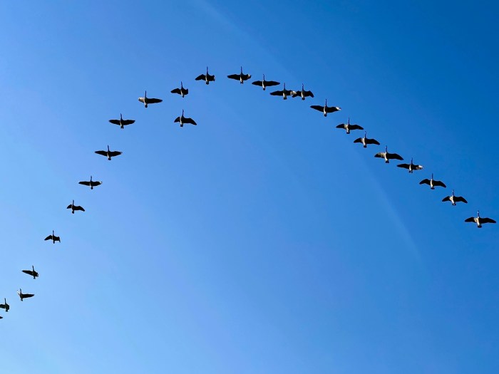 Out of Formation – Good Morning Gloucester