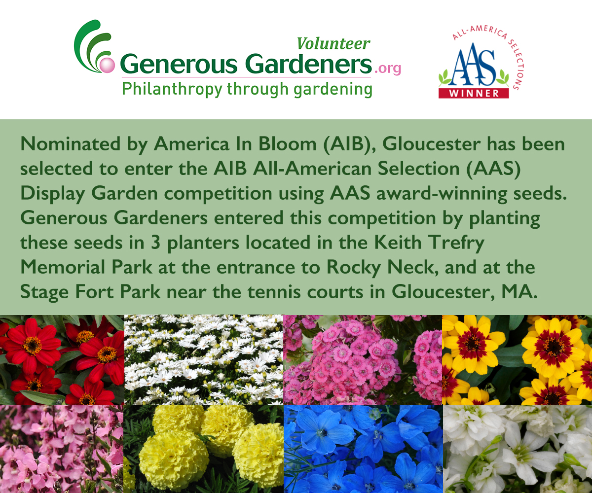 Gloucester Wins another America in Bloom Award – Good Morning Gloucester