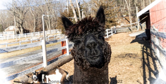 A visit to Marshalls Farmstand – Good Morning Gloucester