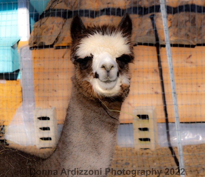 A visit to Marshalls Farmstand – Good Morning Gloucester