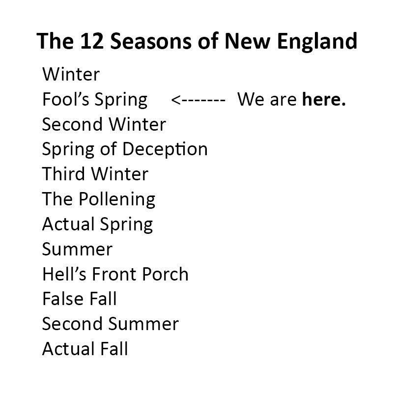The 12 Seasons Of New England – Good Morning Gloucester