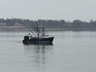St Patrick’s Day Fishing From Cheryl Dubinsky – Good Morning Gloucester