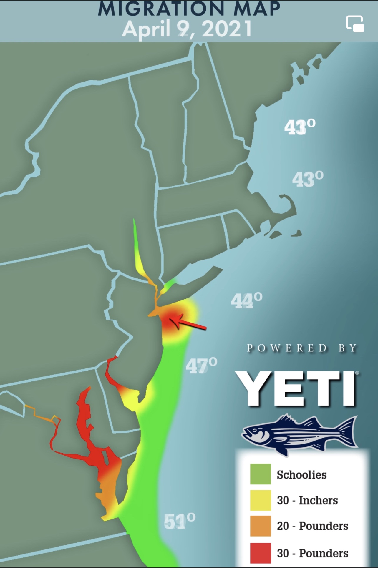 2021 Striper Migration Map – Good Morning Gloucester