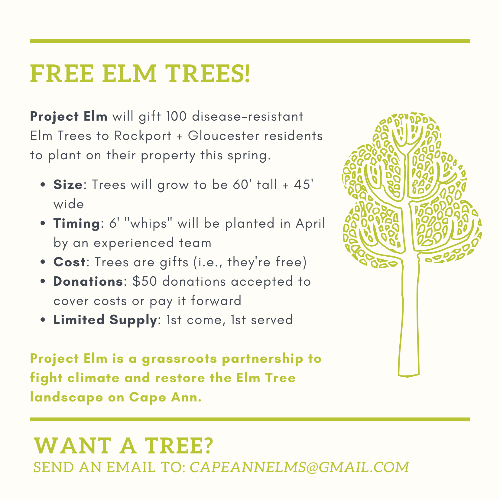 Help Restore the local Elm Landscape and Fight Climate Change: – Good ...