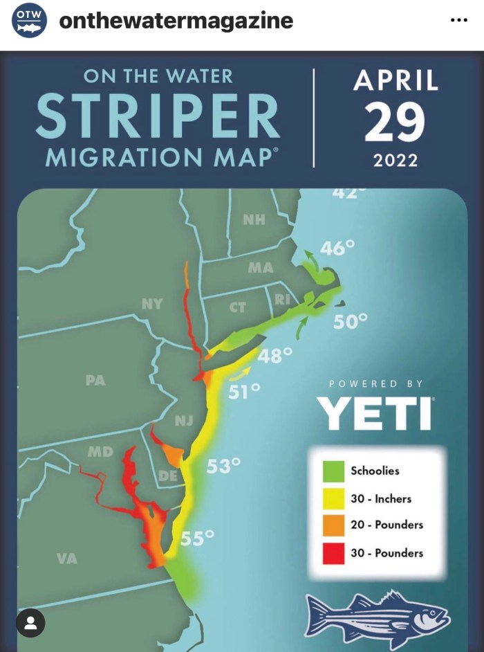 Striper Migration Map – Good Morning Gloucester