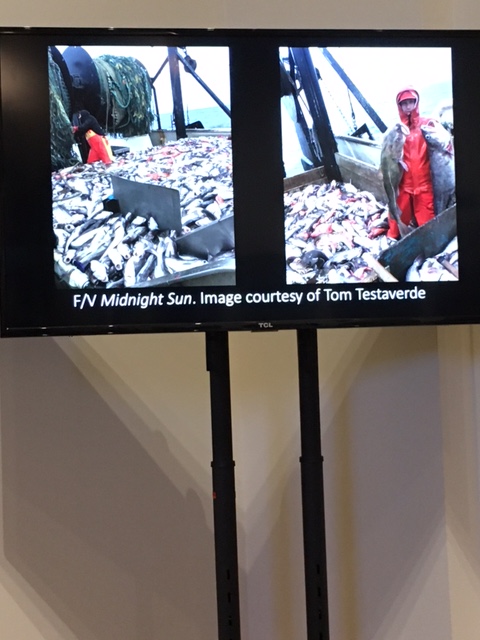 New exhibit at Cape Ann Museum called “ The Legacy of the Family ...