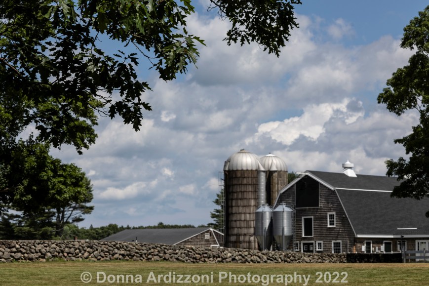 A walk through Appleton Farms – Good Morning Gloucester