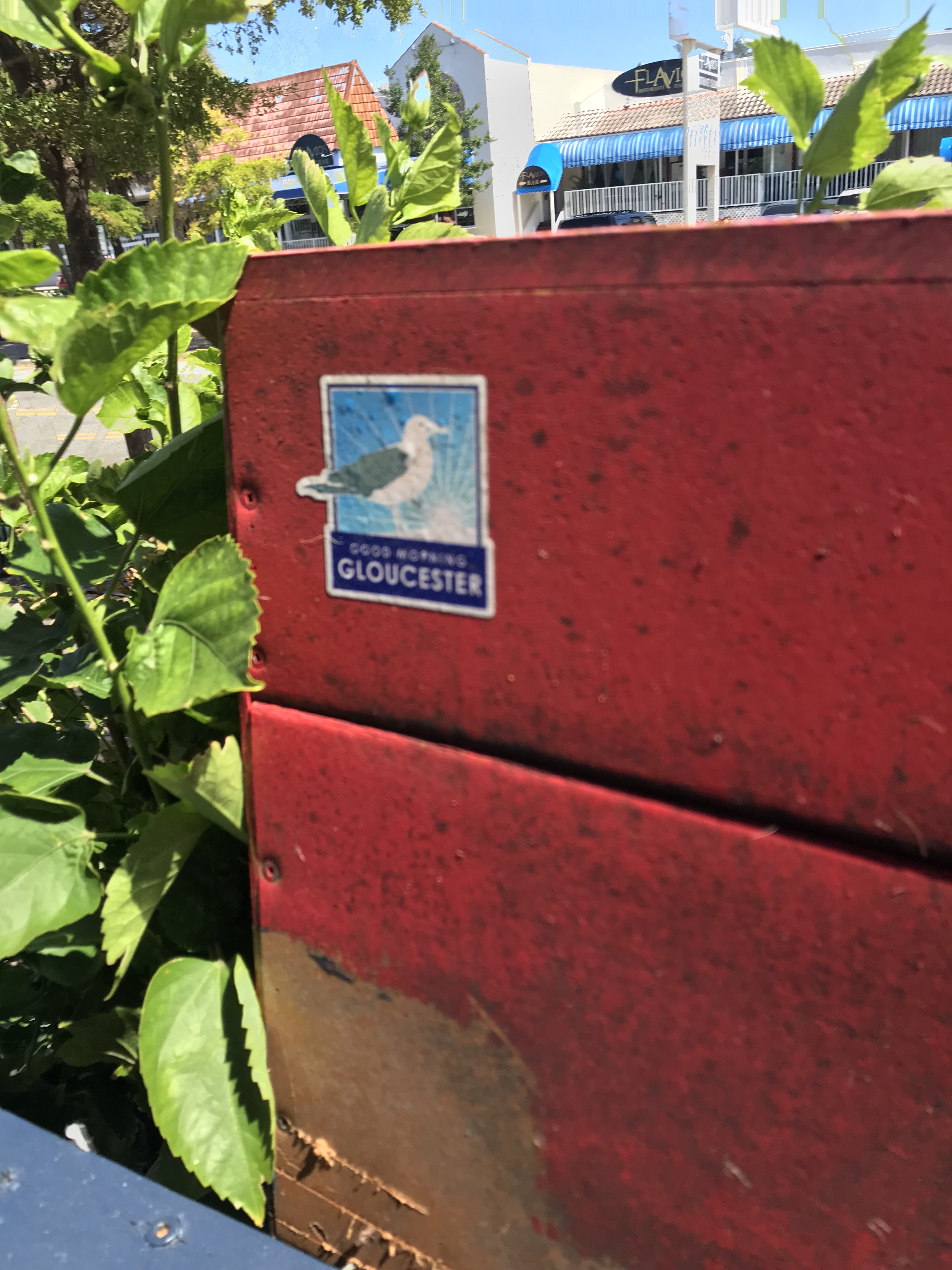 Happy To Report The GMG Sticka Is Still Holding Up #FloridaStrong On The Dumpster At SKOB (as ...