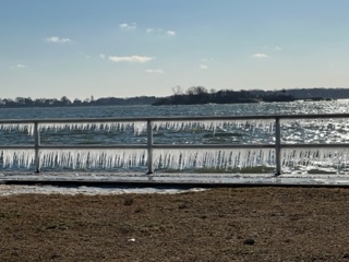 Merry Christmas From Cheryl Dubinsky – Good Morning Gloucester