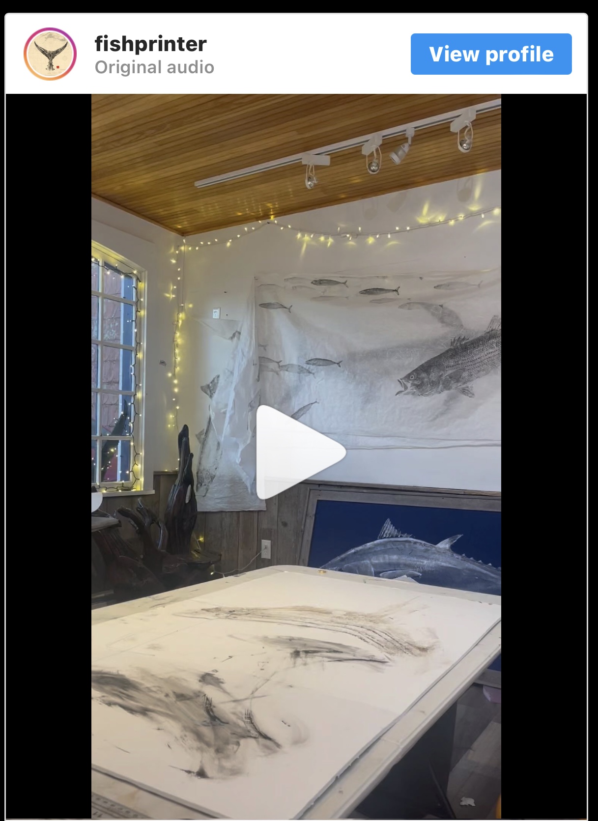 Joe Higgins AKA Fish Printer Gives An Update On Tuna Tail Prints To ...