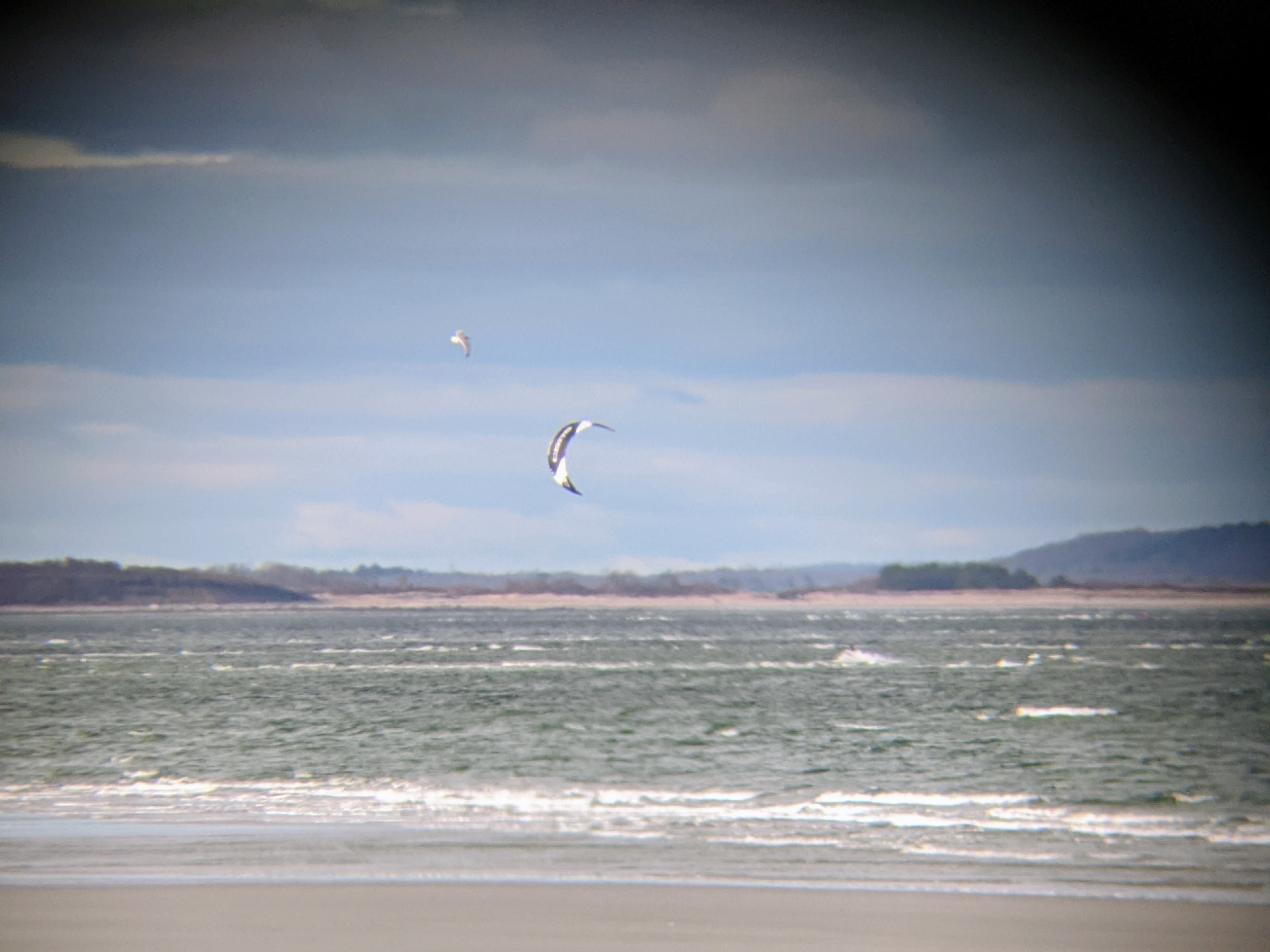 Coffins Beach – Good Morning Gloucester