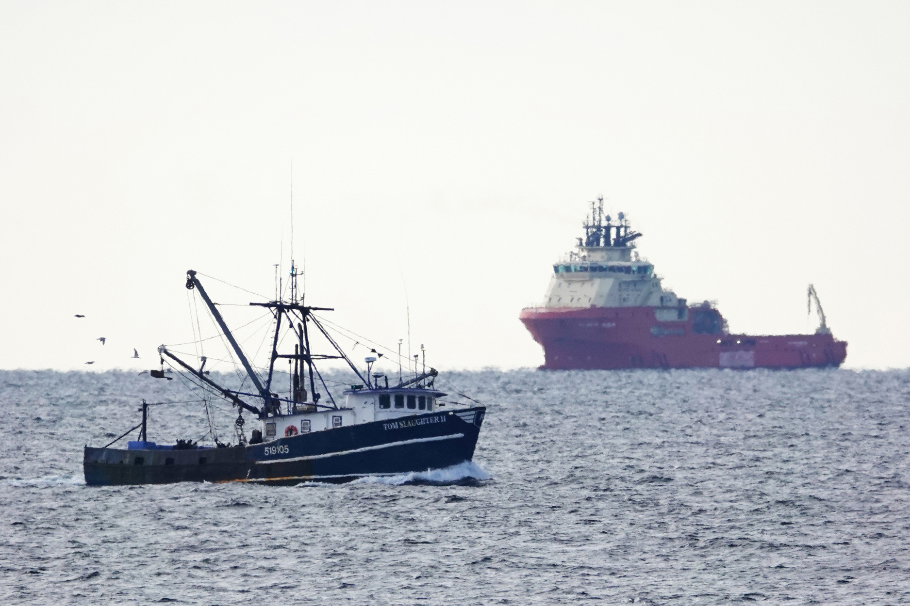 Curious Visitor — pat morss – Good Morning Gloucester