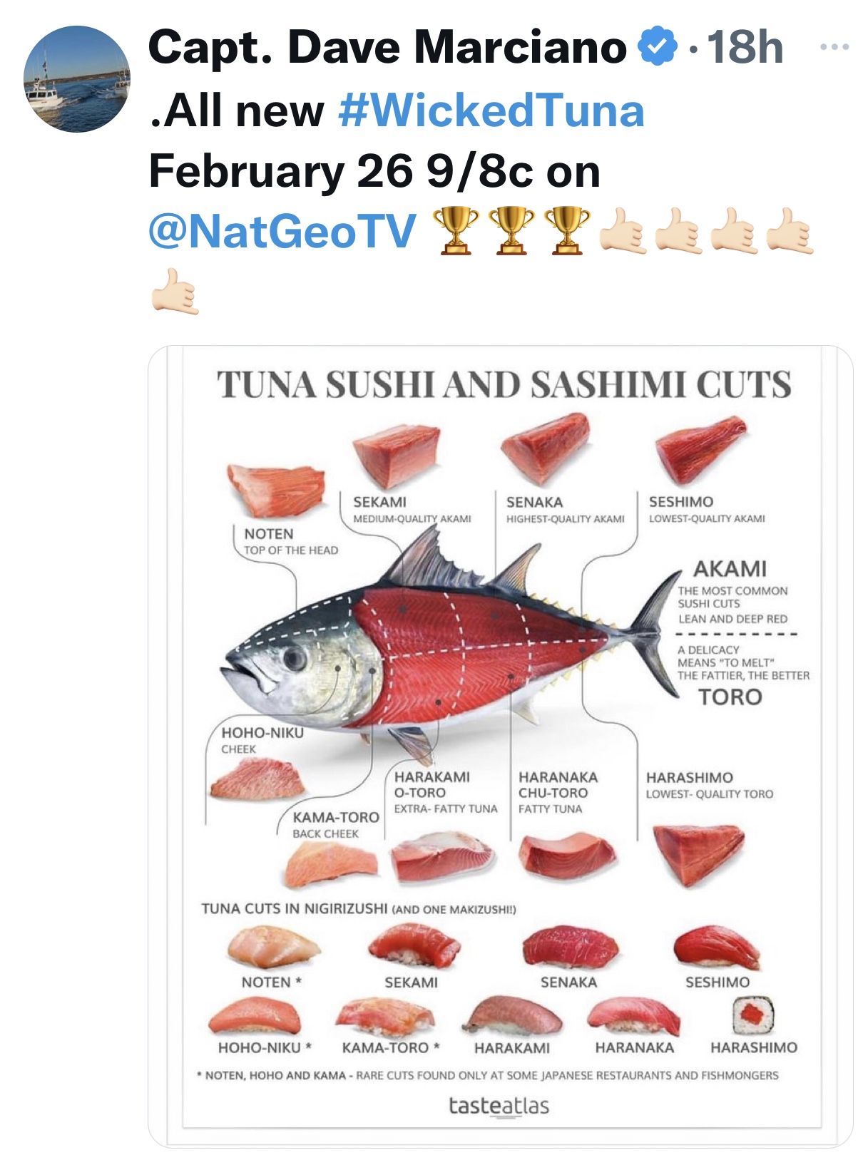 Interesting Tuna Grade Chart From Dave Marciano – Good Morning Gloucester