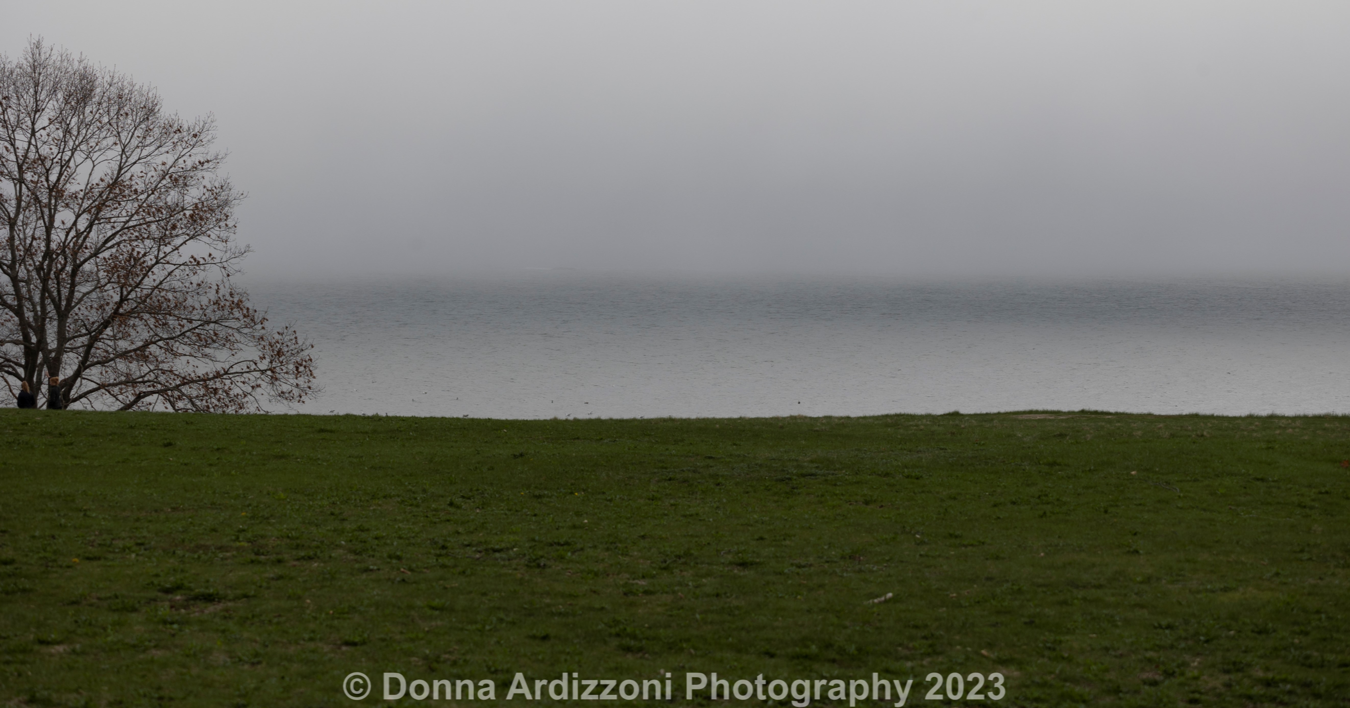Fog rolled in walking to Ocean Lawn on Monday – Good Morning Gloucester