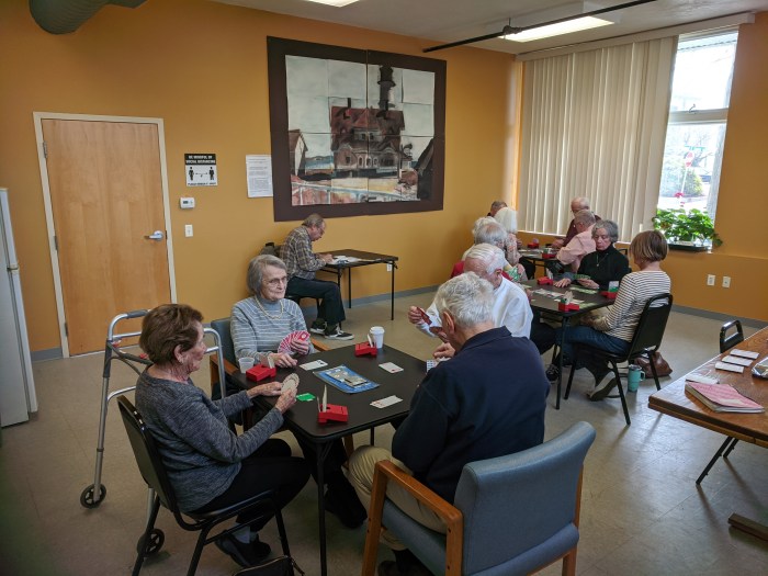 Playing the Cards: Fun Duplicate Bridge Group at Rose Baker Senior and ...